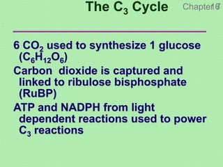 photosynthesis | PPT