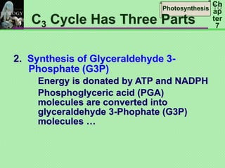 photosynthesis | PPT