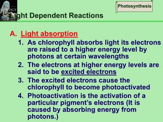 photosynthesis | PPT
