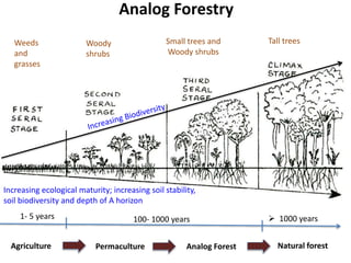 Tree dominated agriculture for environmental services and sustainable ...