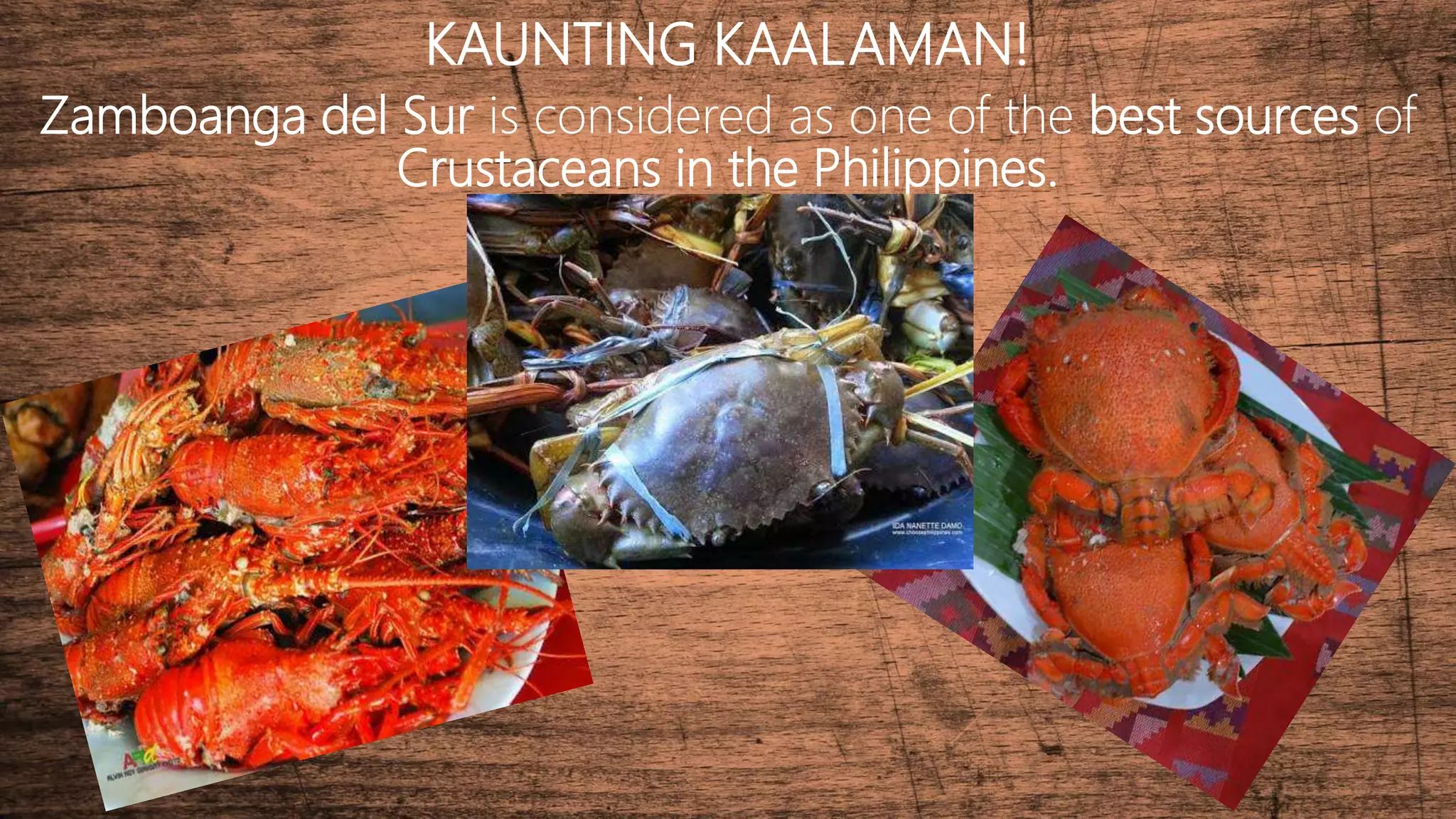 REGION 9: ZAMBOANGA PENINSULA | PPTX | Food & Drink