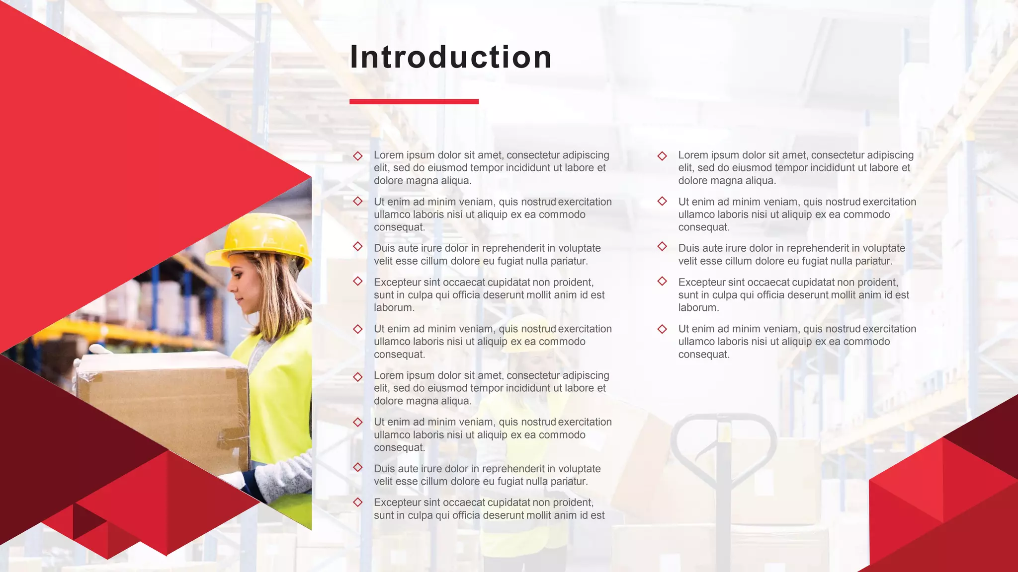 Mem Presentation | PPT