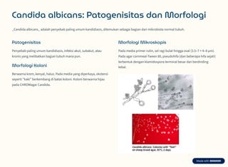 Memahami-Kandidiasis-Diagnosis-dan-Identifikasi.pdf