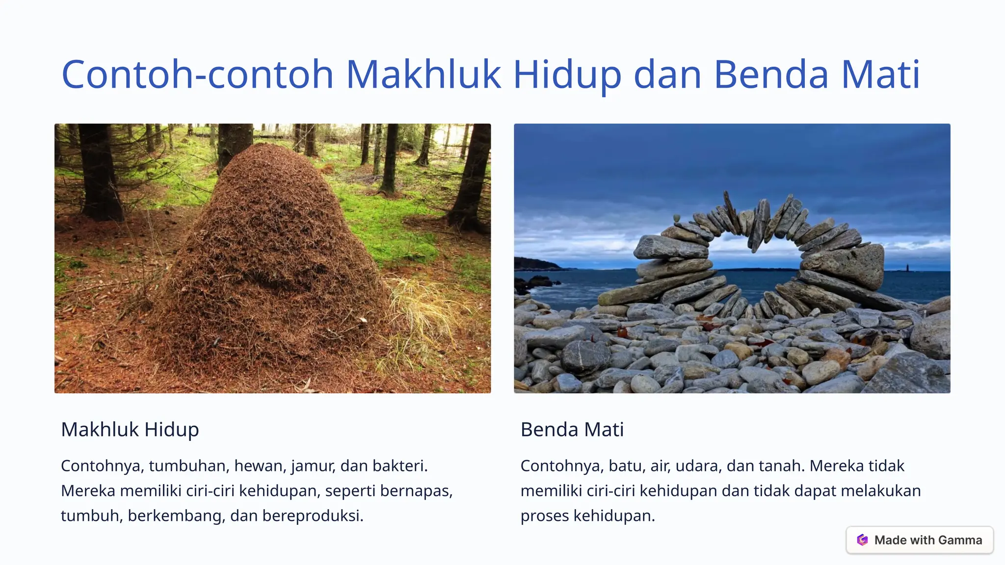 Memahami-Perbedaan-Makhluk-Hidup-dan-Benda-Mati.pptx