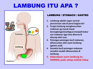 MEMAHAMI ASAM LAMBUNG, GERD & MAAG BESERTA.pdf