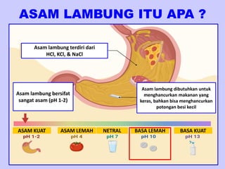 MEMAHAMI ASAM LAMBUNG, GERD & MAAG BESERTA.pdf