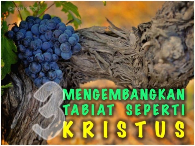 Memahami Buah Roh Kudus Memahami Buah Roh Kudus
