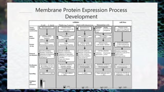 Membane Protein Overview | PPT | Chemistry | Science