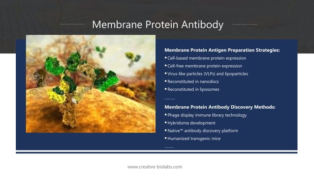 Membane Protein Overview | PPT