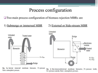 Membarne bioreactor ppt | PPT