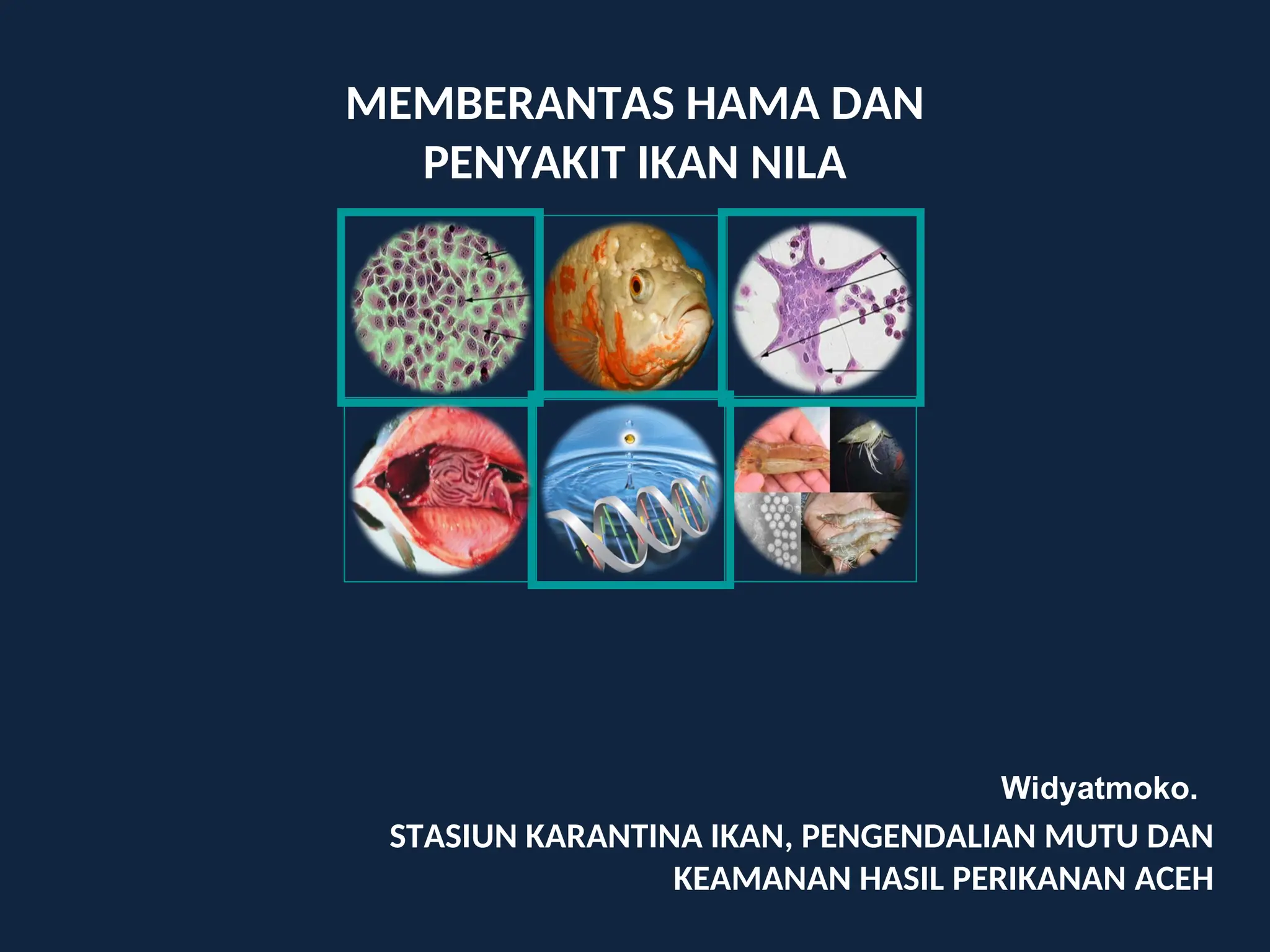MEMBERANTAS HAMA DAN PENYAKIT IKAN AIR TAWAR.ppt