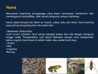 MEMBERANTAS HAMA DAN PENYAKIT IKAN AIR TAWAR.ppt
