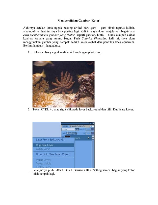Membersihkan gambar | DOC
