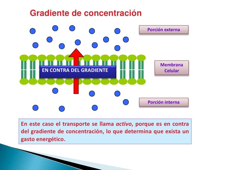 Neuropsicología 3S: octubre 2015