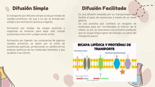 Membrana celular y transporte de células | PPSX