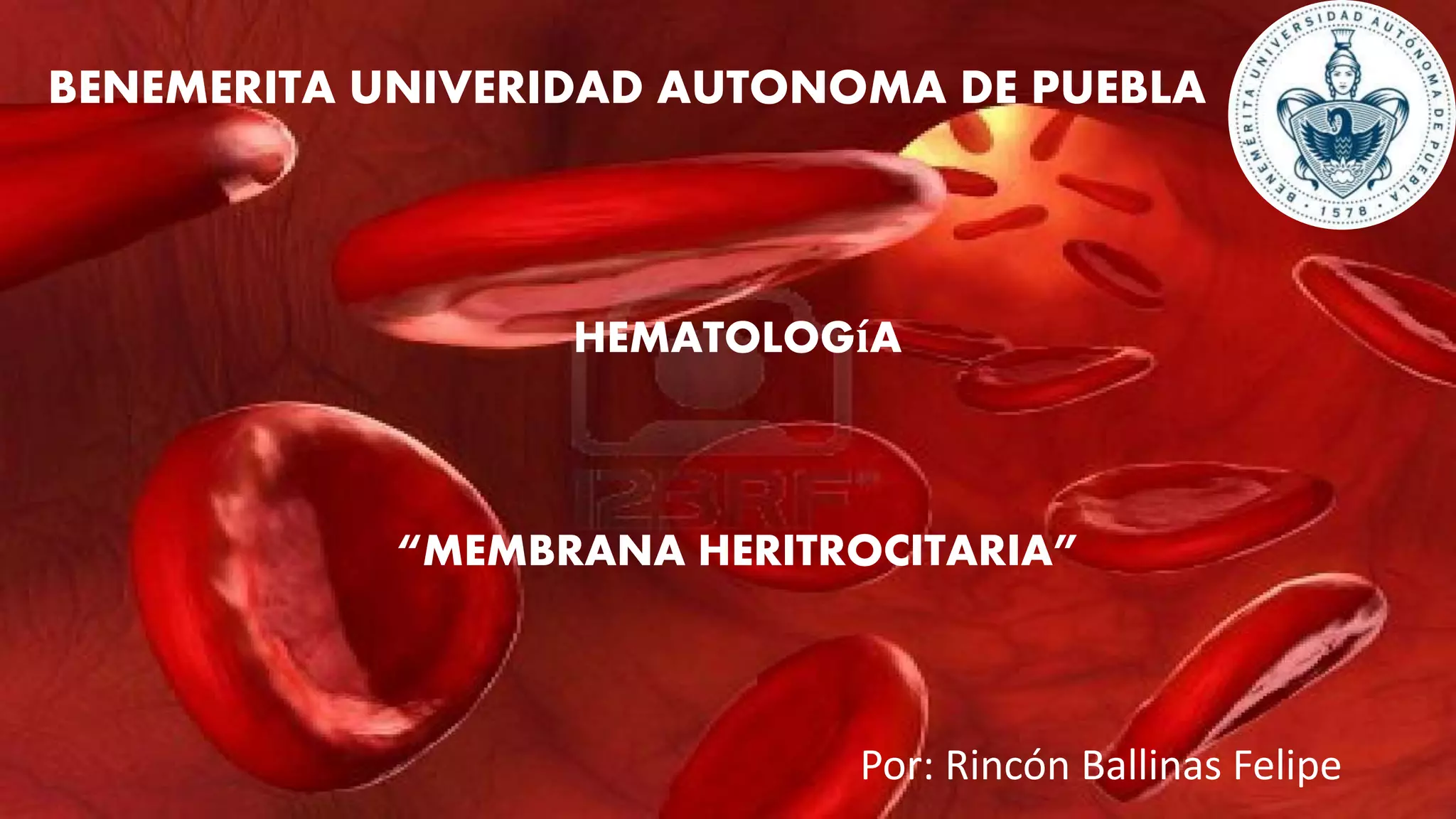 Membrana eritrocitaria | PPTX