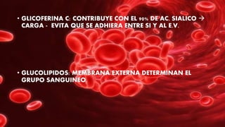 Membrana eritrocitaria | PPTX