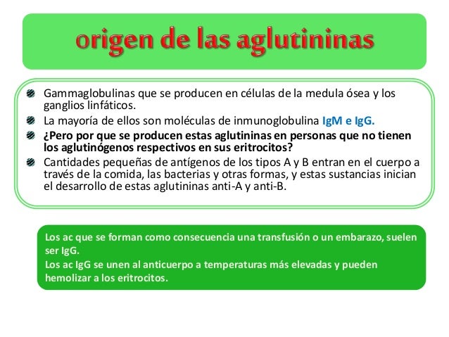 Sin categoría – Cinthia Lizbeth López Mota