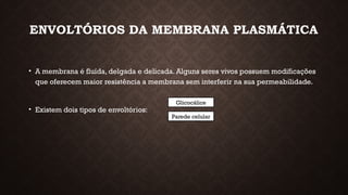Membrana Plasmática e Envoltórios Celulares.pptx