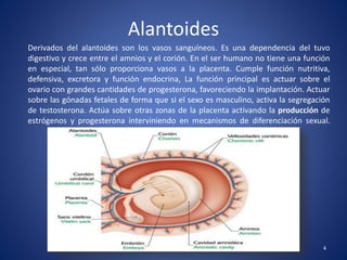 Membranas fetales | PPT
