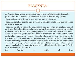 membranas fetales. La gametogenesis y Ovogenesis | PPTX