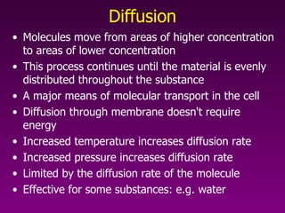 Membrane pt.1 | PPT