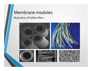 Membrane process & its different aspect | PPT