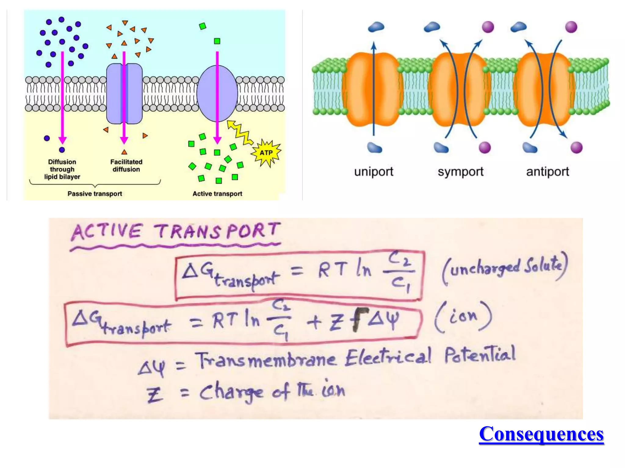 Membrane.Transport.Students Copy.pptx