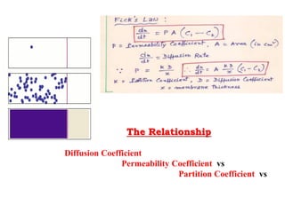 Membrane.Transport.Students Copy.pptx