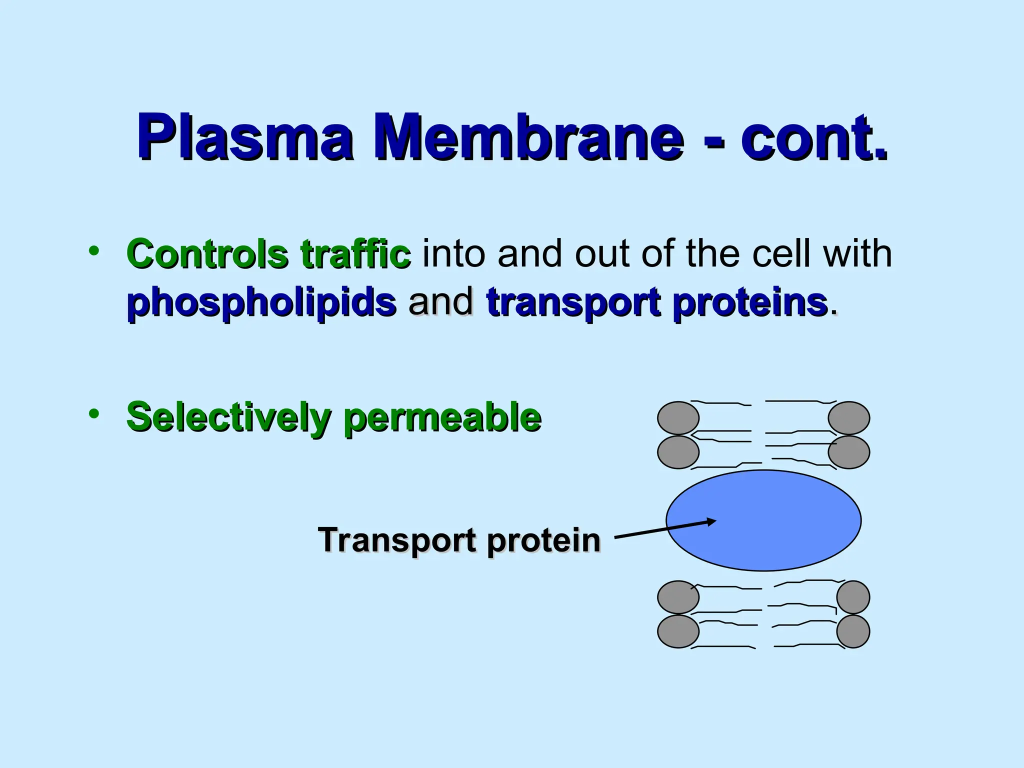 Plasma MEMBRANE structure and function.ppt