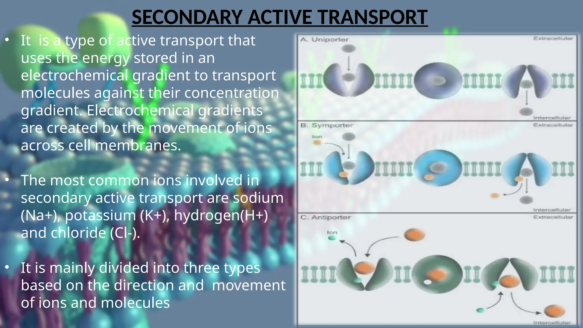 Cellular membrane and membrane transport .pptx