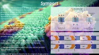 Cellular membrane and membrane transport .pptx