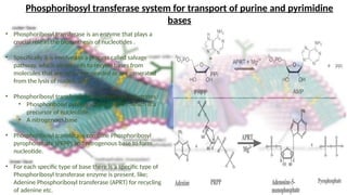 A brief note on membrane and membrane transport .pptx