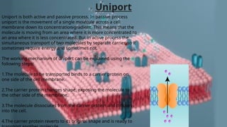A brief note on membrane and membrane transport .pptx