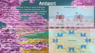 A brief note on membrane and membrane transport .pptx