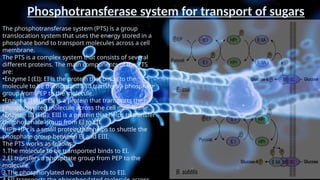 A brief note on membrane and membrane transport .pptx