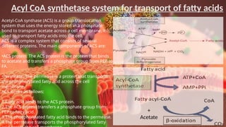 A brief note on membrane and membrane transport .pptx
