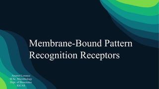 Membrane-Bound-Pattern-Recognition-Receptors.pptx