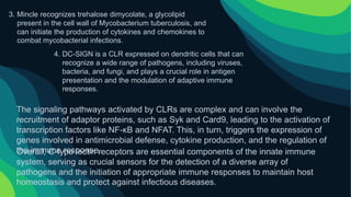 Membrane-Bound-Pattern-Recognition-Receptors.pptx