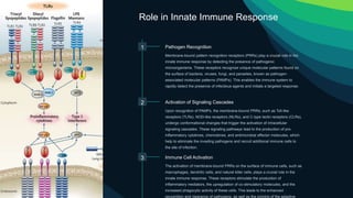 Membrane-Bound-Pattern-Recognition-Receptors.pptx