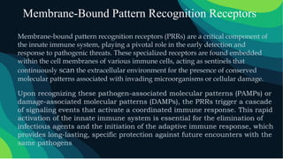 Membrane-Bound-Pattern-Recognition-Receptors.pptx