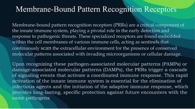 Membrane-Bound-Pattern-Recognition-Receptors.pptx