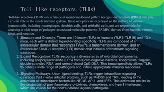 Membrane-Bound-Pattern-Recognition-Receptors.pptx