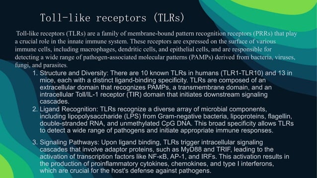 Membrane-Bound-Pattern-Recognition-Receptors.pptx