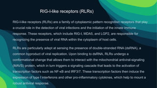 Membrane-Bound-Pattern-Recognition-Receptors.pptx