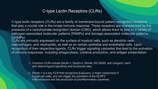 Membrane-Bound-Pattern-Recognition-Receptors.pptx