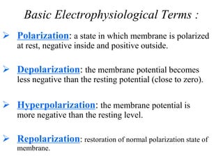 membrane-potential.ppt