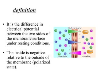 membrane-potential.ppt