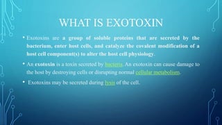 Membrane active exotoxin.pptx