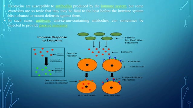 Membrane active exotoxin.pptx